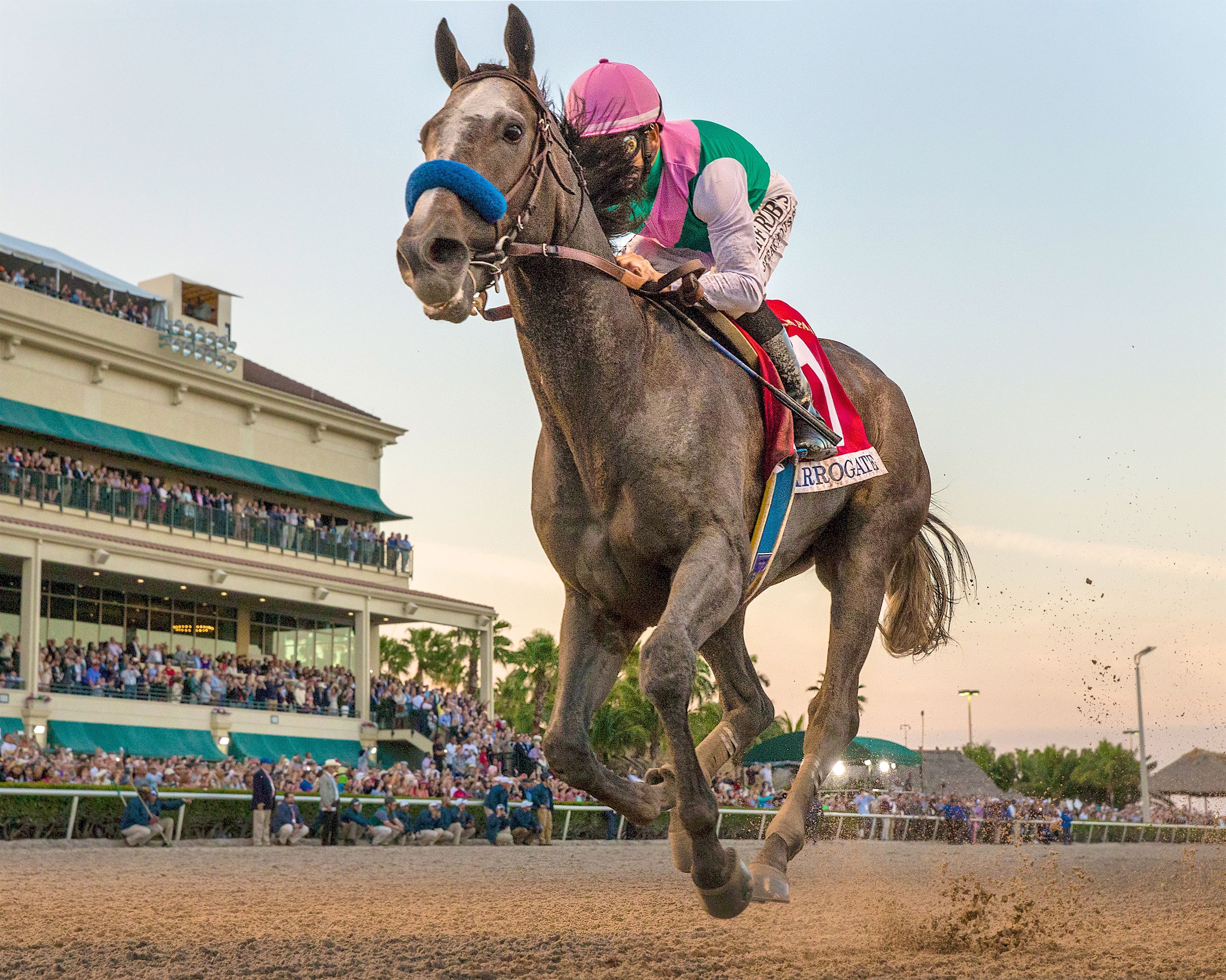 Arrogate (KY) | National Museum of Racing and Hall of Fame